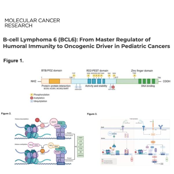 Dun Lab – RUN DIPG